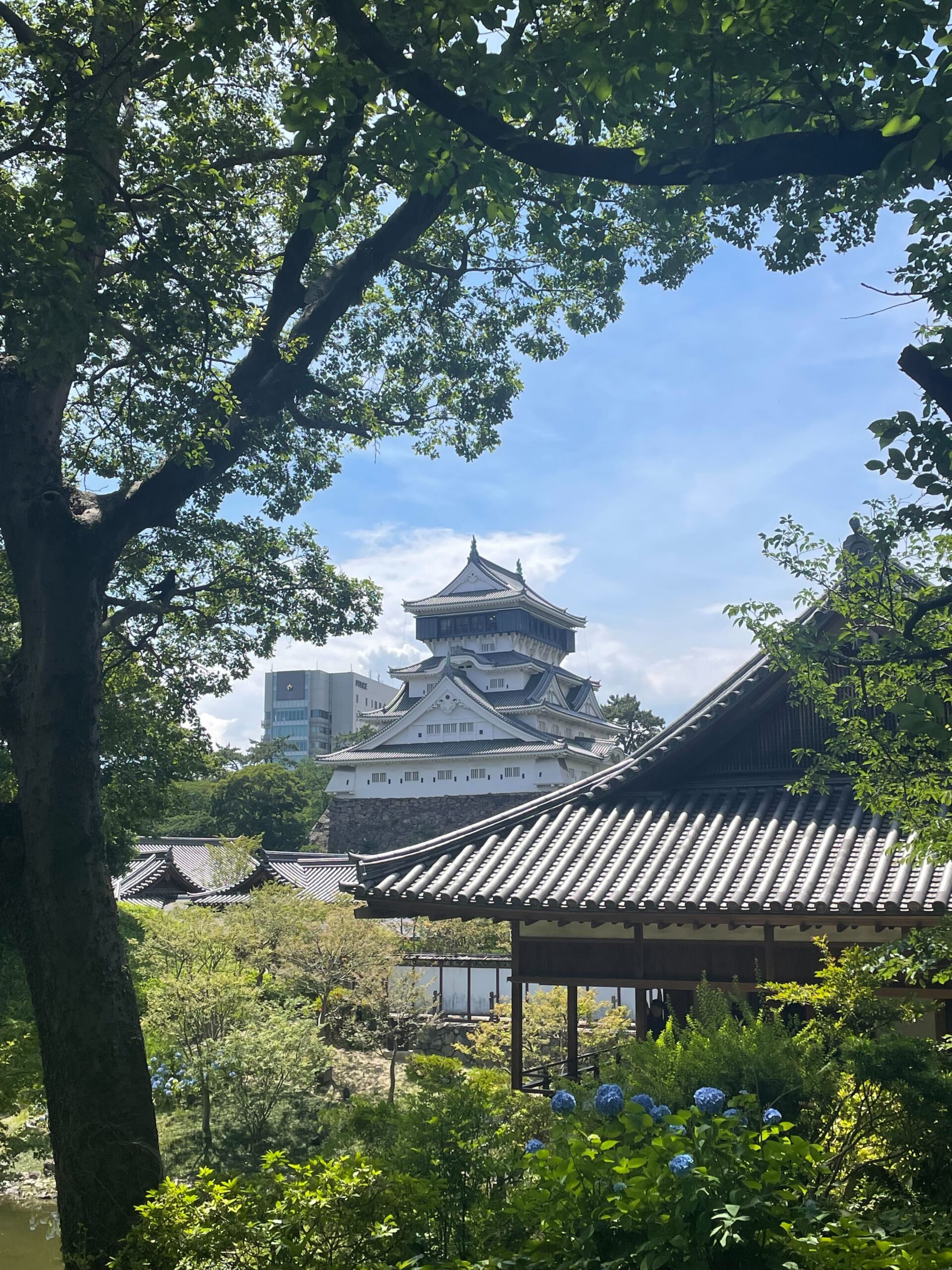 CCS研究会にて発表しました。 | 砂田・新山研究室 | 金沢大学理工学域機械工学類